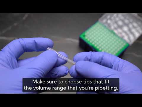 Universal Pipette Tips - Filtrous