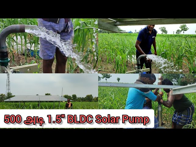 Solar Submersible Pump - Bldc Solar Submersible Pumps Service Provider ...
