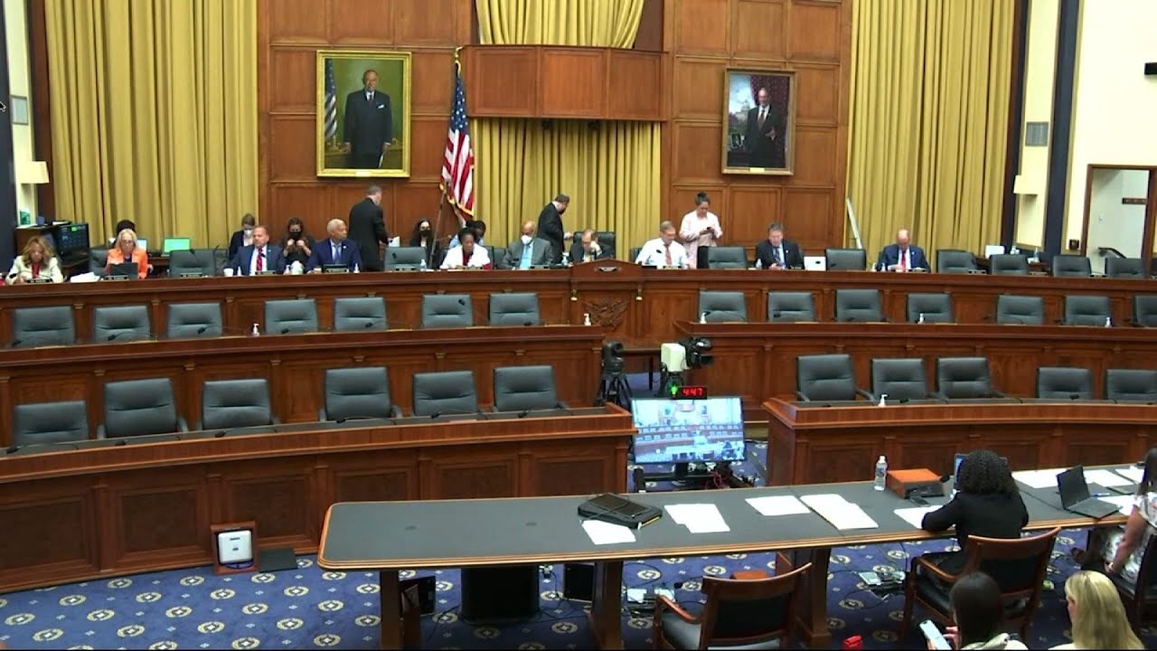 Democrats push for gun laws after mass shootings