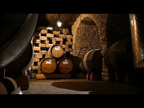 How to Verify Wine Authenticity: Defending Its Integrity with NMR and ETS Labs Digital Signature