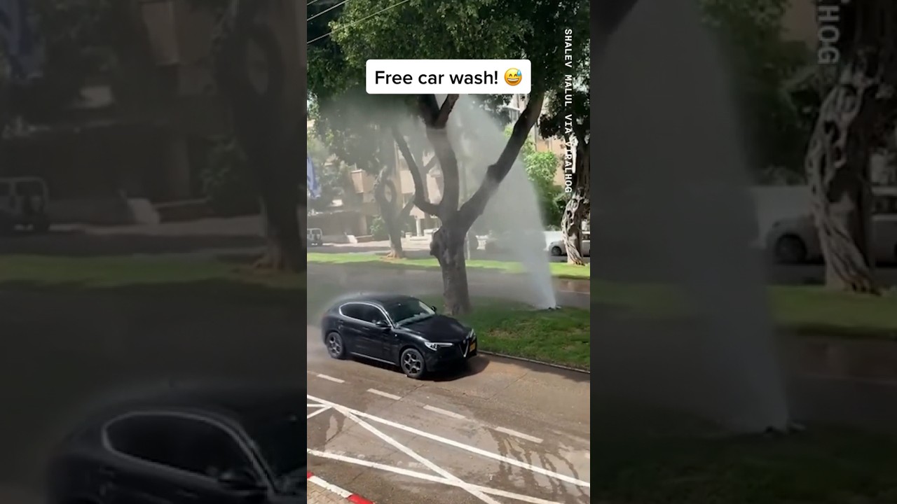 Turns out malfunctioning sprinklers make great free car washes! #car #wash #clean #funny