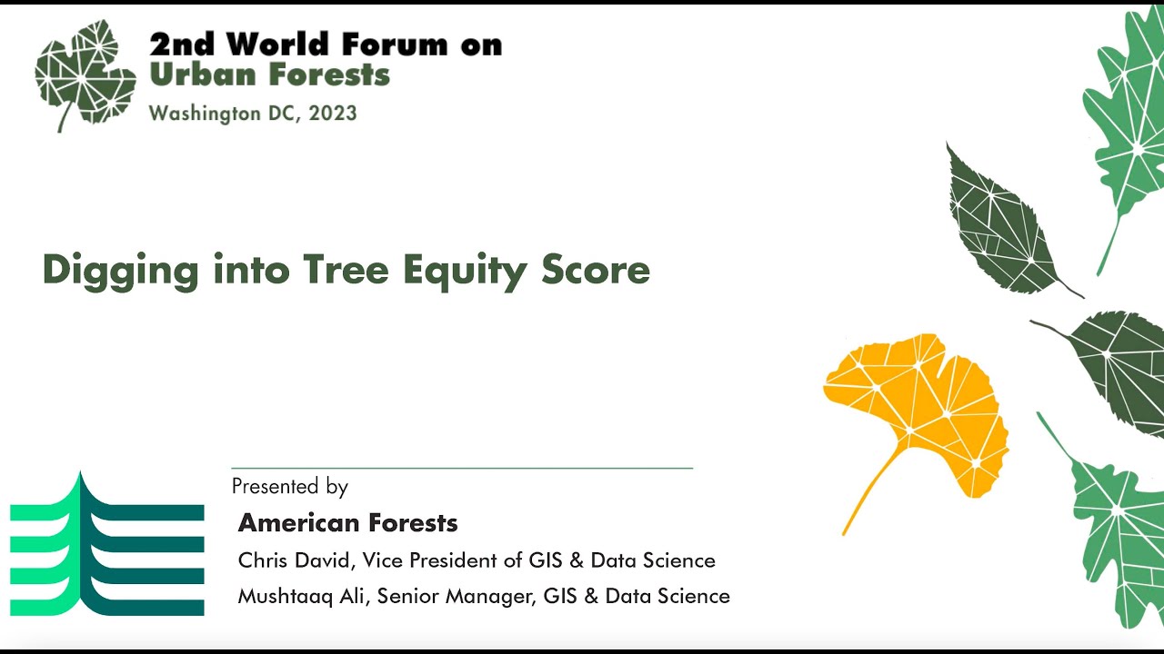 Digging Into Tree Equity Score