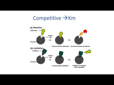 USMLE STEP1: Enzyme Kinetics + practice Questions