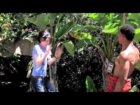 Wife Swap International trailer