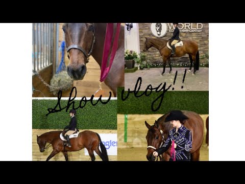 AQHA Level 1 Championships Show Vlog - World Equestrian Center, Ohio 🌸