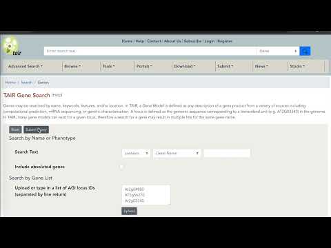 New TAIR Bulk Download from Gene Search