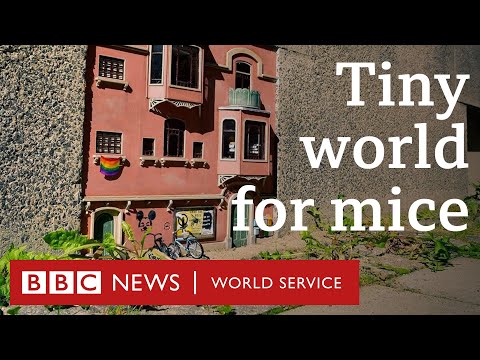 The secret artists creating miniature buildings for street mice - BBC World Service