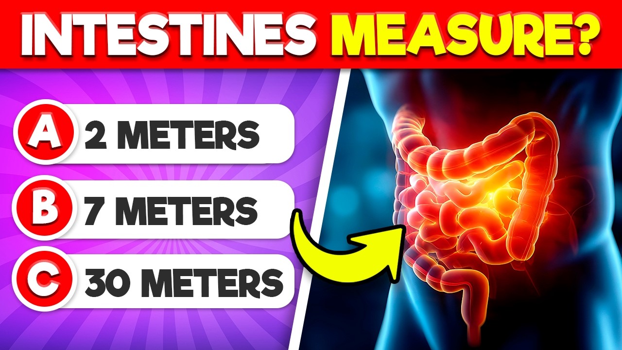 How Much Do You Know About the Human Body? 🫁🫀 | Human Body Quiz