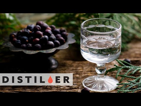 What is Gin? | Everything You Need to Know