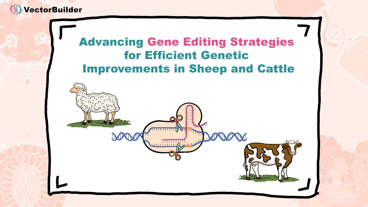 Advancing Gene Editing Strategies for Efficient Genetic Improvements in Animal Models