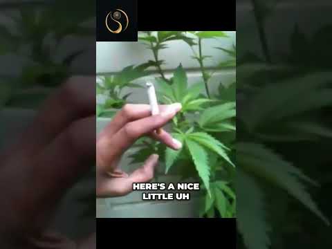Cutting Edge vs Earthjuice: The Best Nutrient Supply in the USA