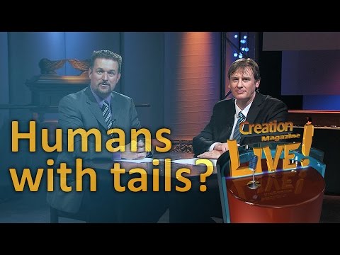 Humans with tails? (Creation Magazine LIVE! 5-03)