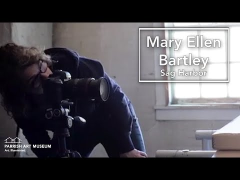 Mary Ellen Bartley - Artist Stories from the Pandemic