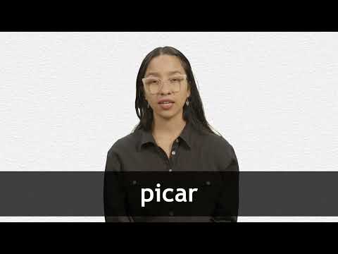 English Translation of “PICAR” | Collins Spanish-English Dictionary