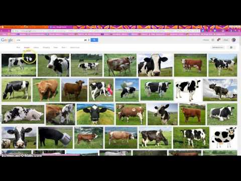 Free to Use Google Images