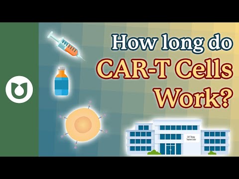 How long do CAR-T Cells work? #myeloma