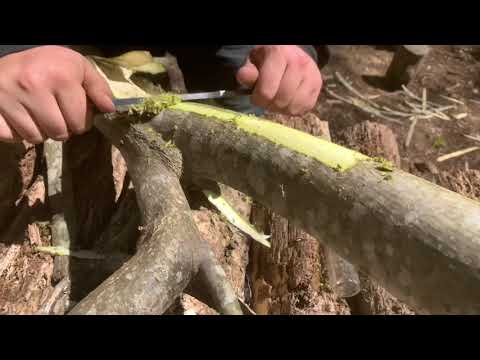 Testing and evaluation of the Trailmaster Kukri.