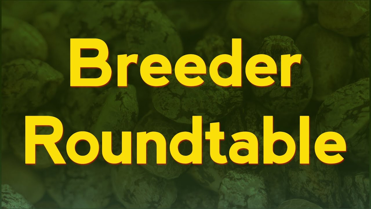 Breeder Roundtable: Saturday Night Edition