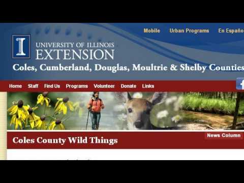How-To Identify Blue Caterpillars In Illinois