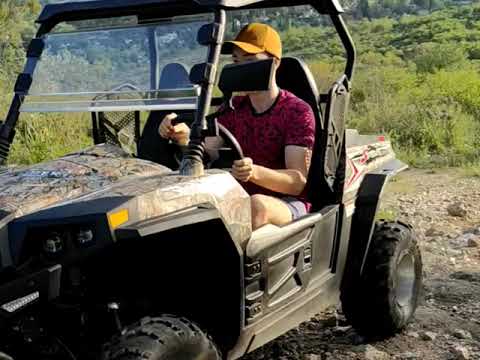Hisun UTV 250
