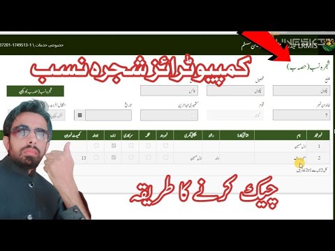 How to check Shajra Nasab online -Computerized Shajra Nasab chek krnay Ka triqa