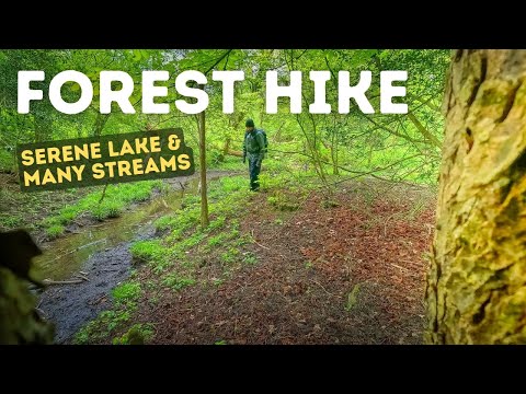Hiking through a forest trail with a lake