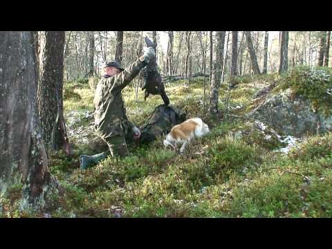 Pyyntiretkia_suurille_kairoille_traileri.m2t