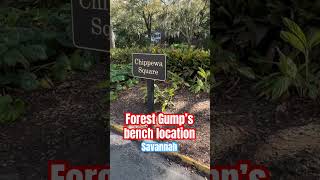 Forest Gump Bench location in Savannah Georgia! #movielocations #moviehistory #forestgump #georgia