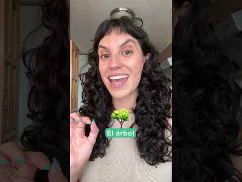 5 Feminine Spanish Words That Are Actually Masculine! #spanish #spanishlanguage #spanishlessons