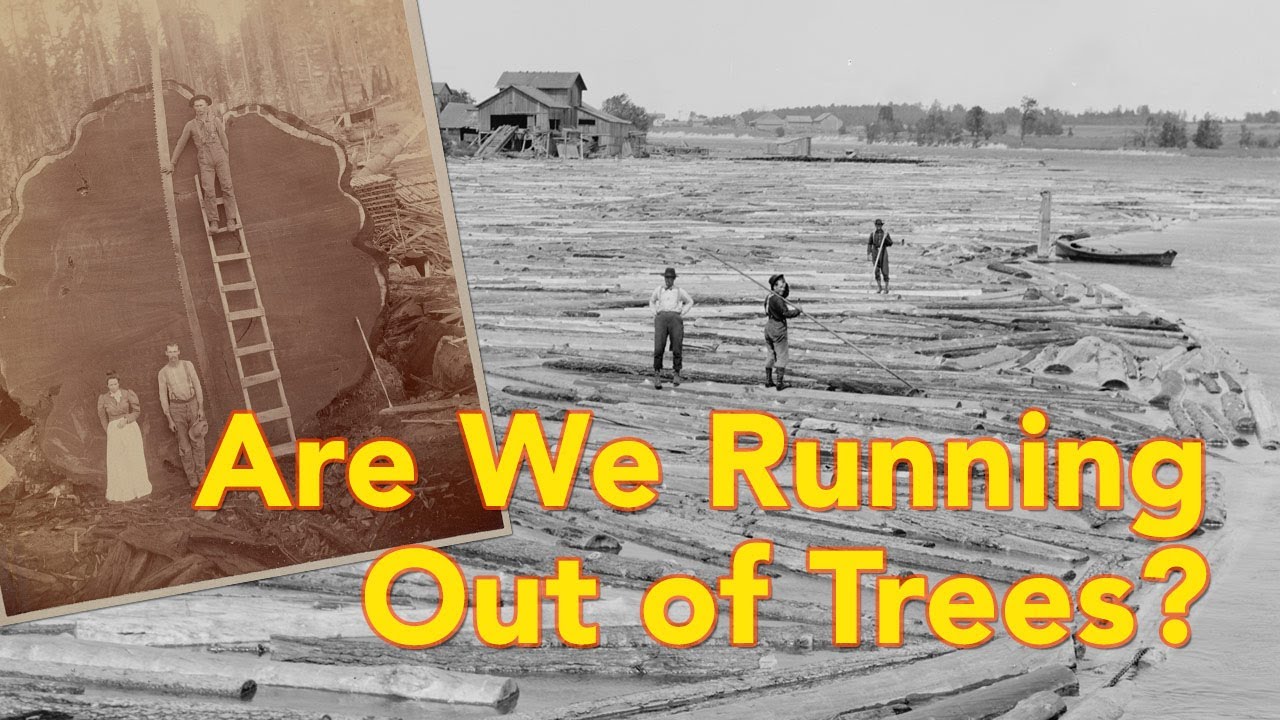 Are We Running Out of Trees? The History of U.S. Forest Resource Management