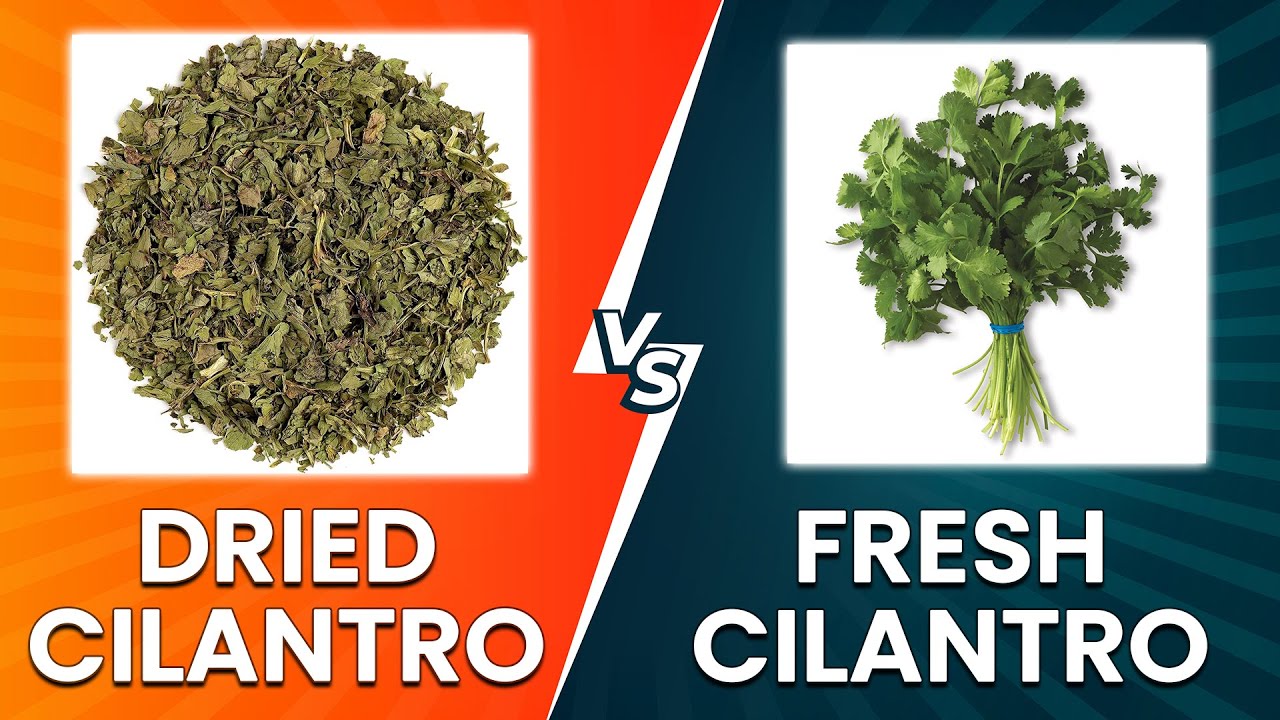 Dried Cilantro vs Fresh Cilantro - Do They Tase The Same? (Which Is Healthier?)