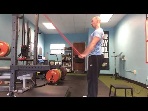 Back Workouts Without a Single Pullup — Best Back Exercises