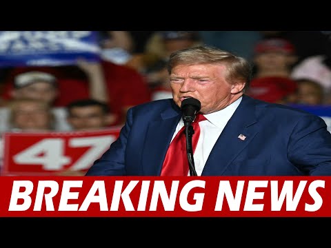 15 Sep. Election 2024 Update: Presidential polls, news and results | Kamala Harris vs Donald Trump