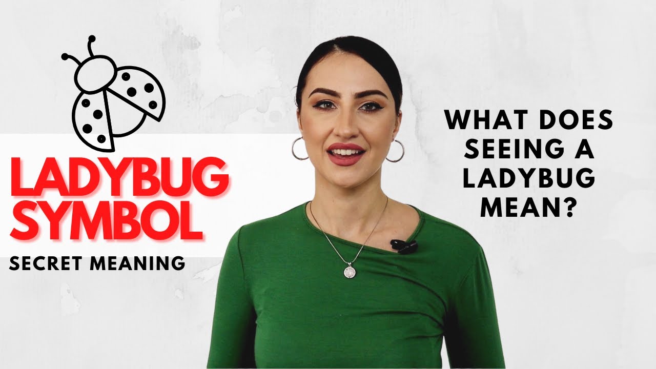 Ladybug Symbolism - What Does Seeing a Ladybug Mean?