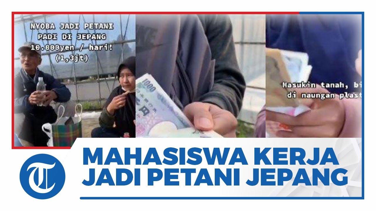 Viral Kisah Seorang Mahasiswi Asal Indonesia Jadi Petani Di Jepang