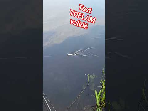 STL file TOFLAM inspired by balam 🎣 ・3D printer design to download・Cults