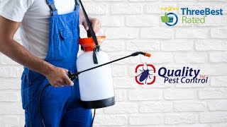 3 Best Pest Control in Winnipeg, MB - Expert Recommendations