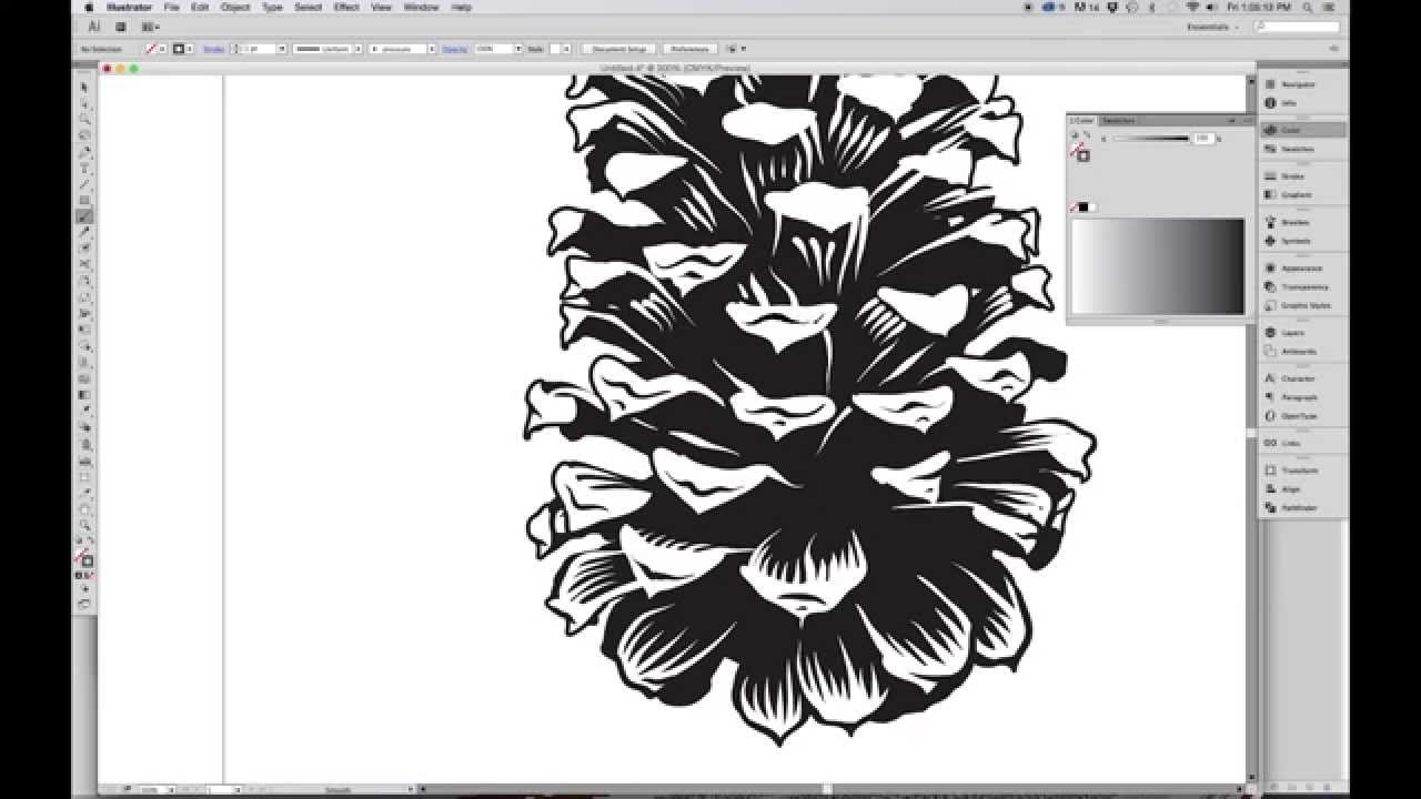 Longleaf Pine (pinus palustris) cone illustration