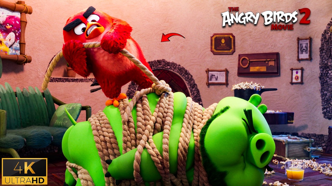 Funny Pig & Red Scene | Angry Birds 2 Movie Best Moments (2019)