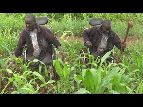 Zimbabwe: Wheeling self to the field, leg amputee (55) etches ...