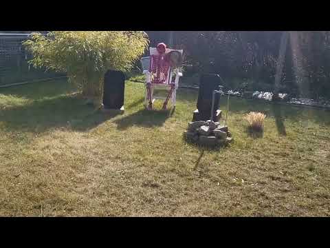 Teufel Rockster Air2 Outdoor Test - Samsung ZFlip5 Bluetooth