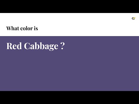 Red Cabbage color #534a77 hex color - Blue color - Warm color 534a77
