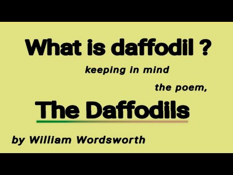 Daffodil | The Daffodils or I wandered lonely as a cloud by William Wordsworth | Short Definition