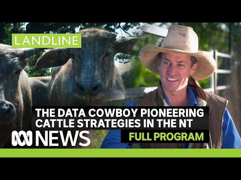 Landline | The Top End's data cowboy, markets, weather and more | ABC News In-depth