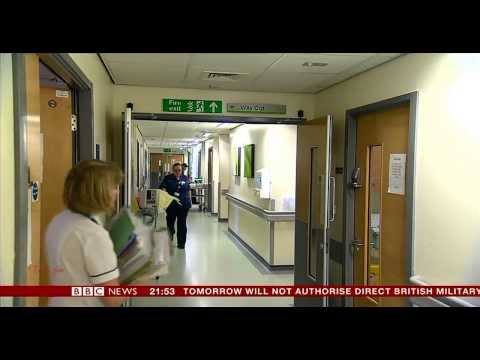 Branwen Jeffreys Wiki