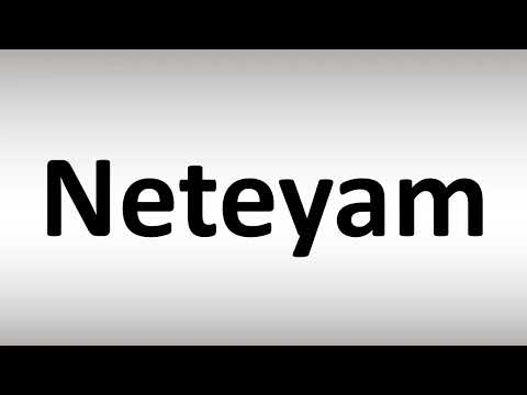 How to Pronounce Neteyam (Avatar)