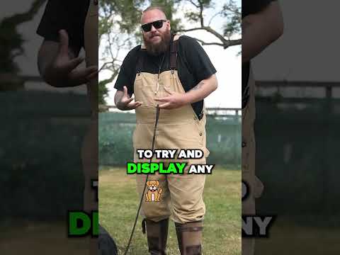 How To Work With Scared And Fearful Dogs