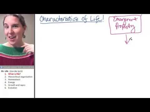 Life 1- What is life