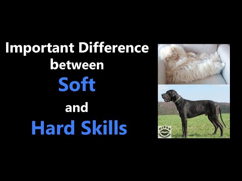 The Real Difference between Soft and Hard Skills and Why It's Important