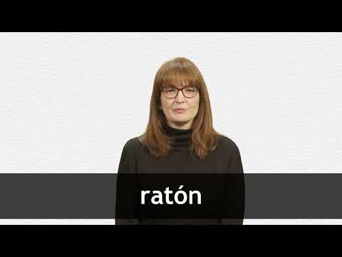 English Translation of “RATÓN” | Collins Spanish-English Dictionary